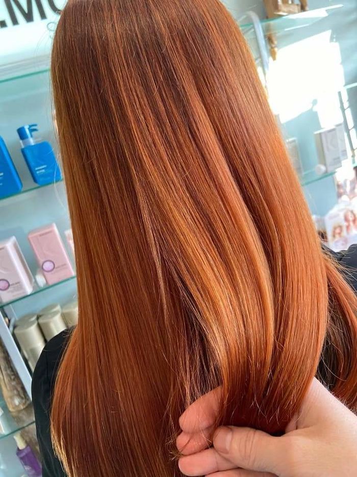 Home - Red Hare Salon